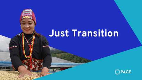 The Power of the Just Transition to transform our Economies - UN PAGE ...