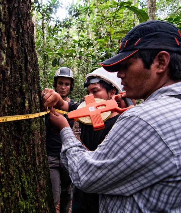 Peru - UN PAGE - Partnership for Action on Green Economy
