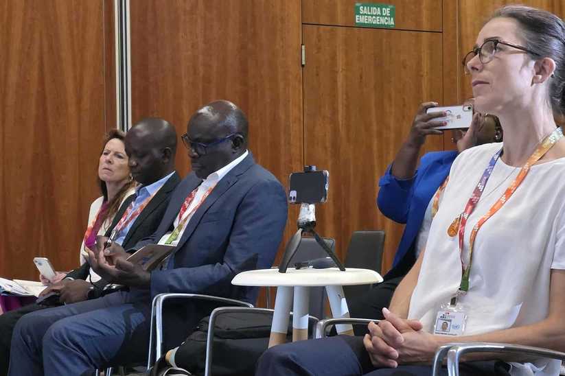 The Call for Systemic Resilience: PAGE Side Event at FfD4 - UN PAGE ...