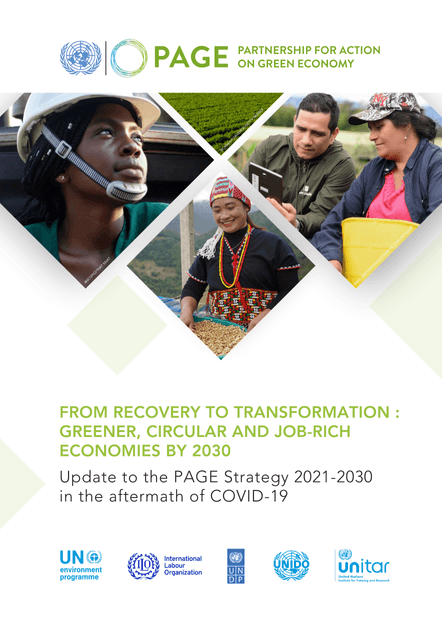 Vision & Strategy - UN PAGE - Partnership for Action on Green Economy