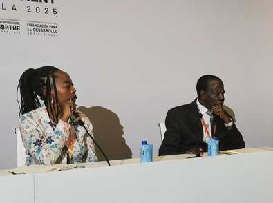The Call for Systemic Resilience: PAGE Side Event at FfD4 - UN PAGE ...